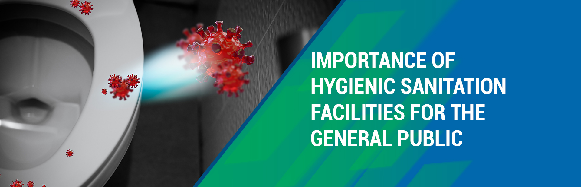 Importance of Hygienic Sanitation Facilities for Public Health